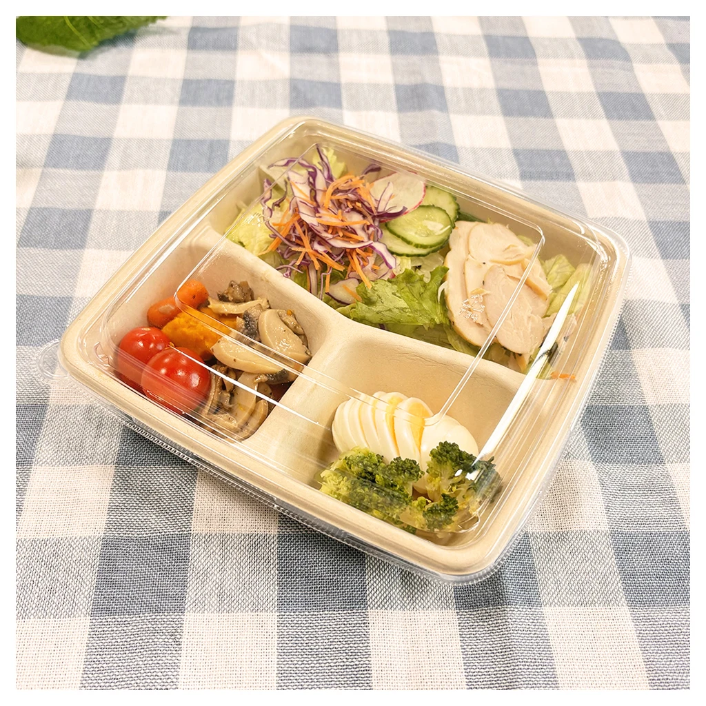 3-compartment Rectangular Compostable Bamboo Bagasse Disposable Salad ...