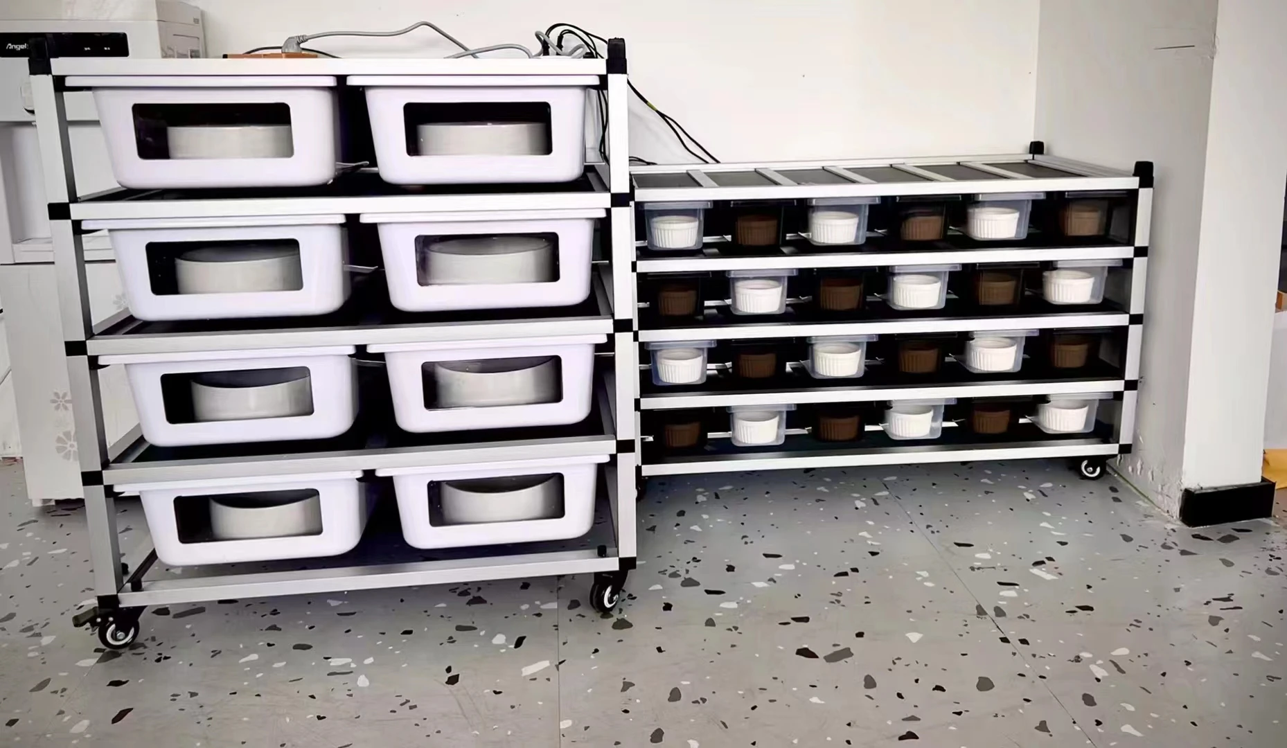 Different Size Of Modular Snake Rack For Snake Rack Breeding Box Snake ...