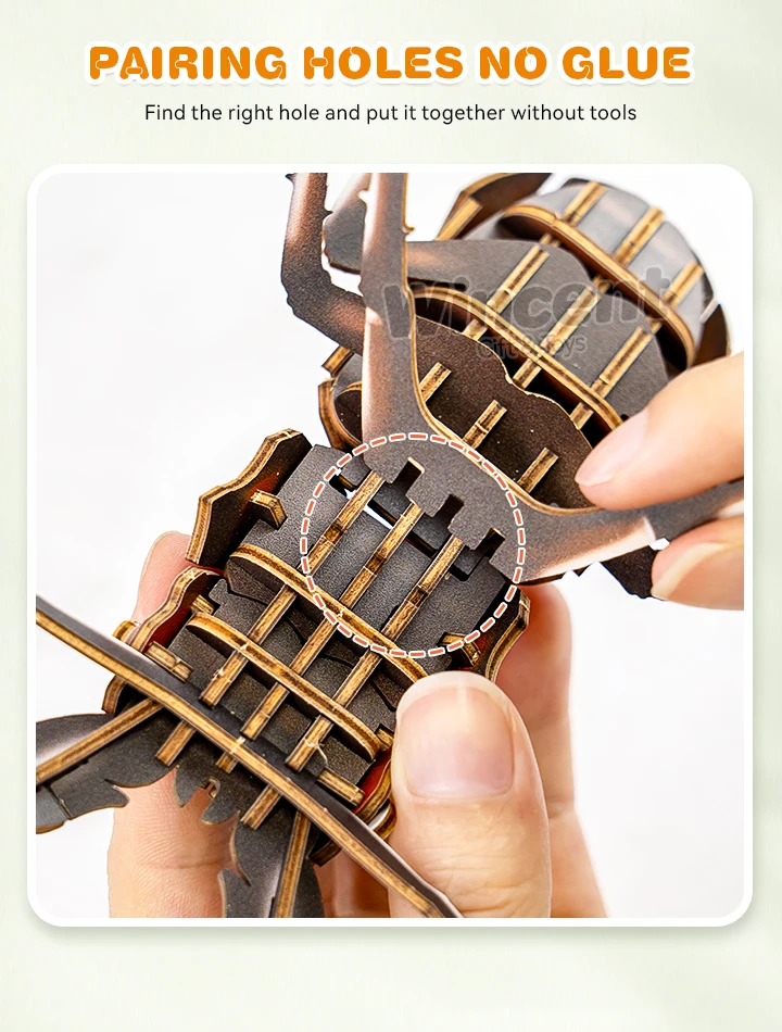 Wincent Crafts Camponotus Models Hands-on Ability Wooden Insect Toy ...