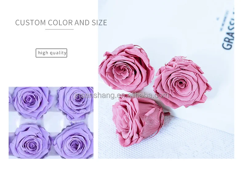 High Quality Preserved Roses 2-3 Cm Forever Roses Preserved Roses - Buy ...