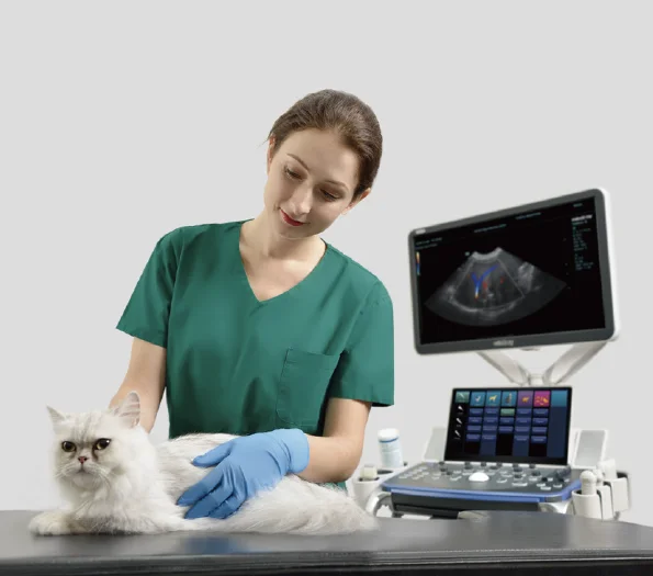 Mindray Vetus 7 Expert Veterinary Ultrasound - Reliable & Versatile