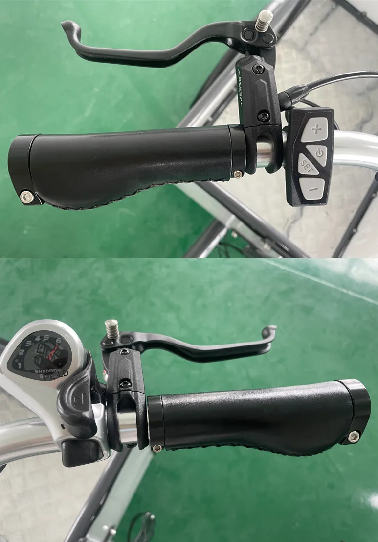 3 Wheel Cargo Bike Electric Tricycle With Cargo Box Wooden Bike For ...