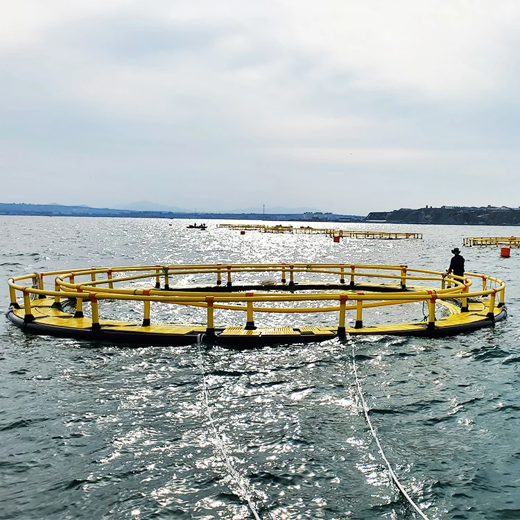 Leisure Floating Dock Fish Cage,Leisure Plastic Pontoon Fish Cage For ...