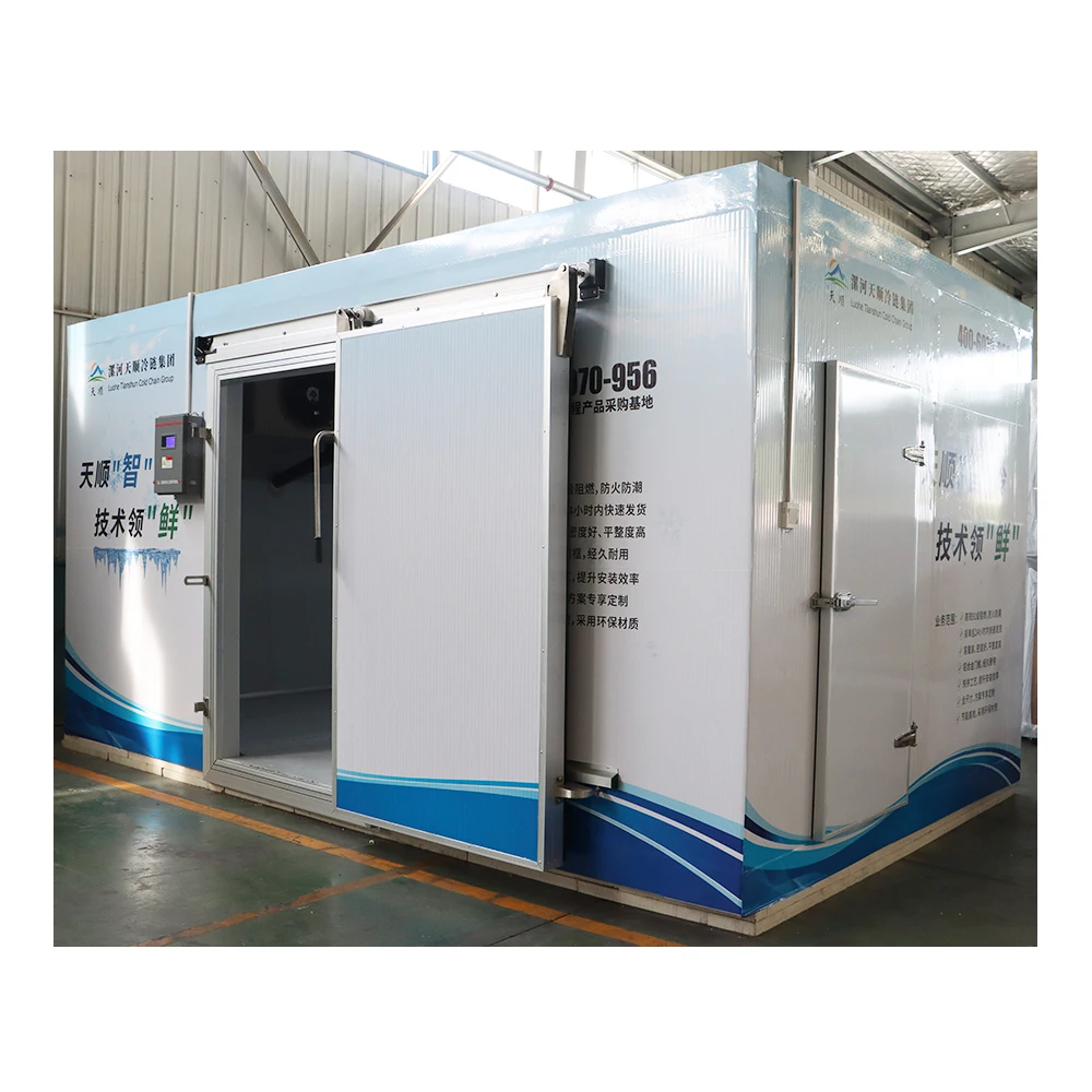 solar powered cold storage room solar cold room solar freezer room ...