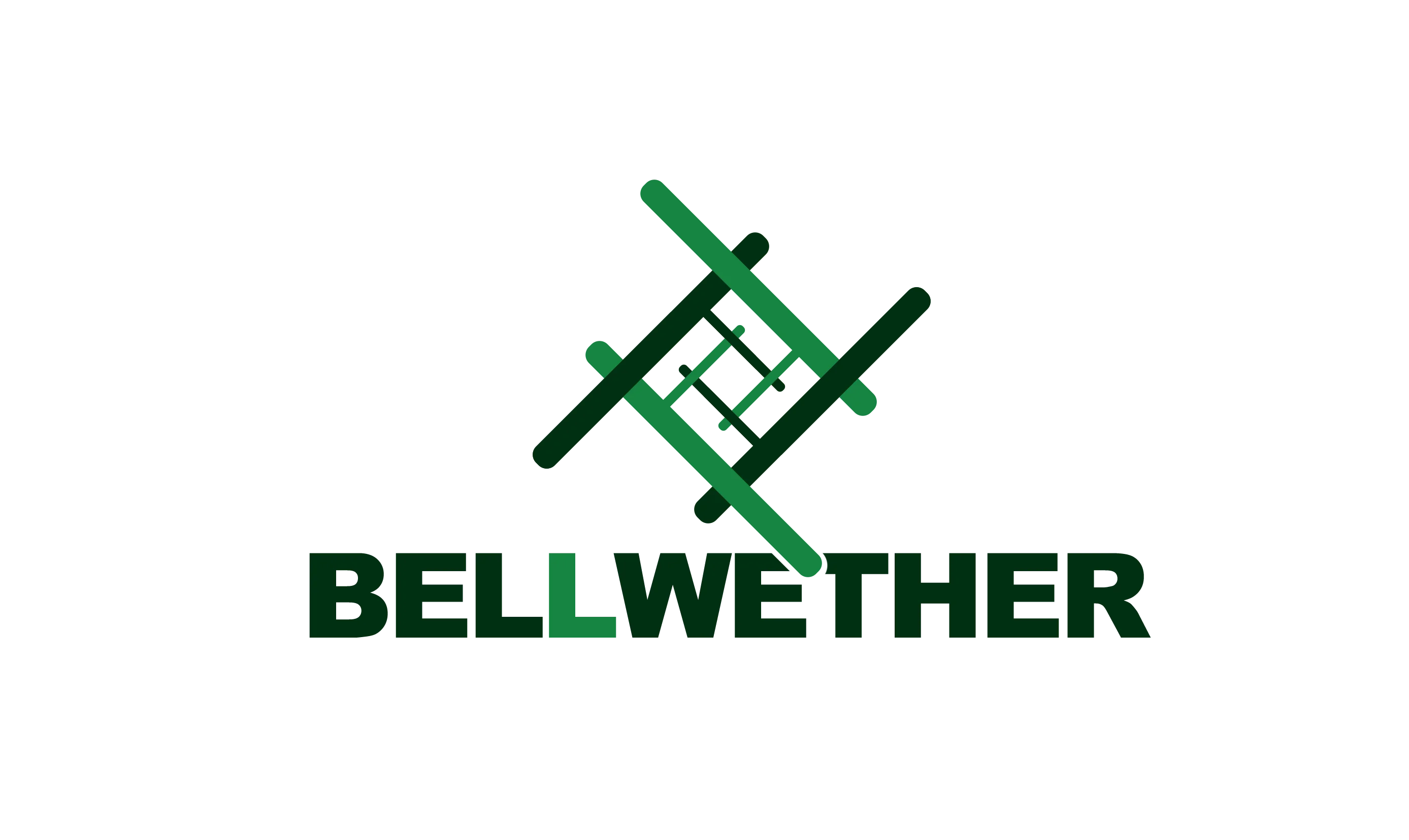 RIZHAO BELLWETHER NET CO.LTD