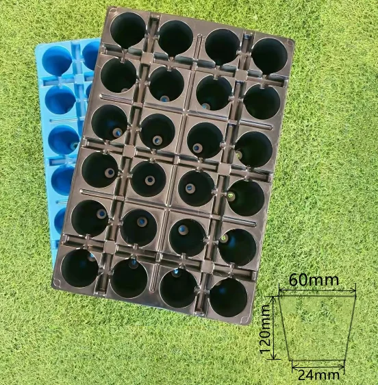 24 Holes Strawberry Seed Starter Tray Seedling Trays For Plants Flowers ...