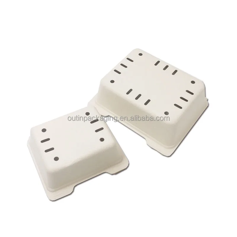 Eco-friendly Fruit and Vegetable Packaging Solutions