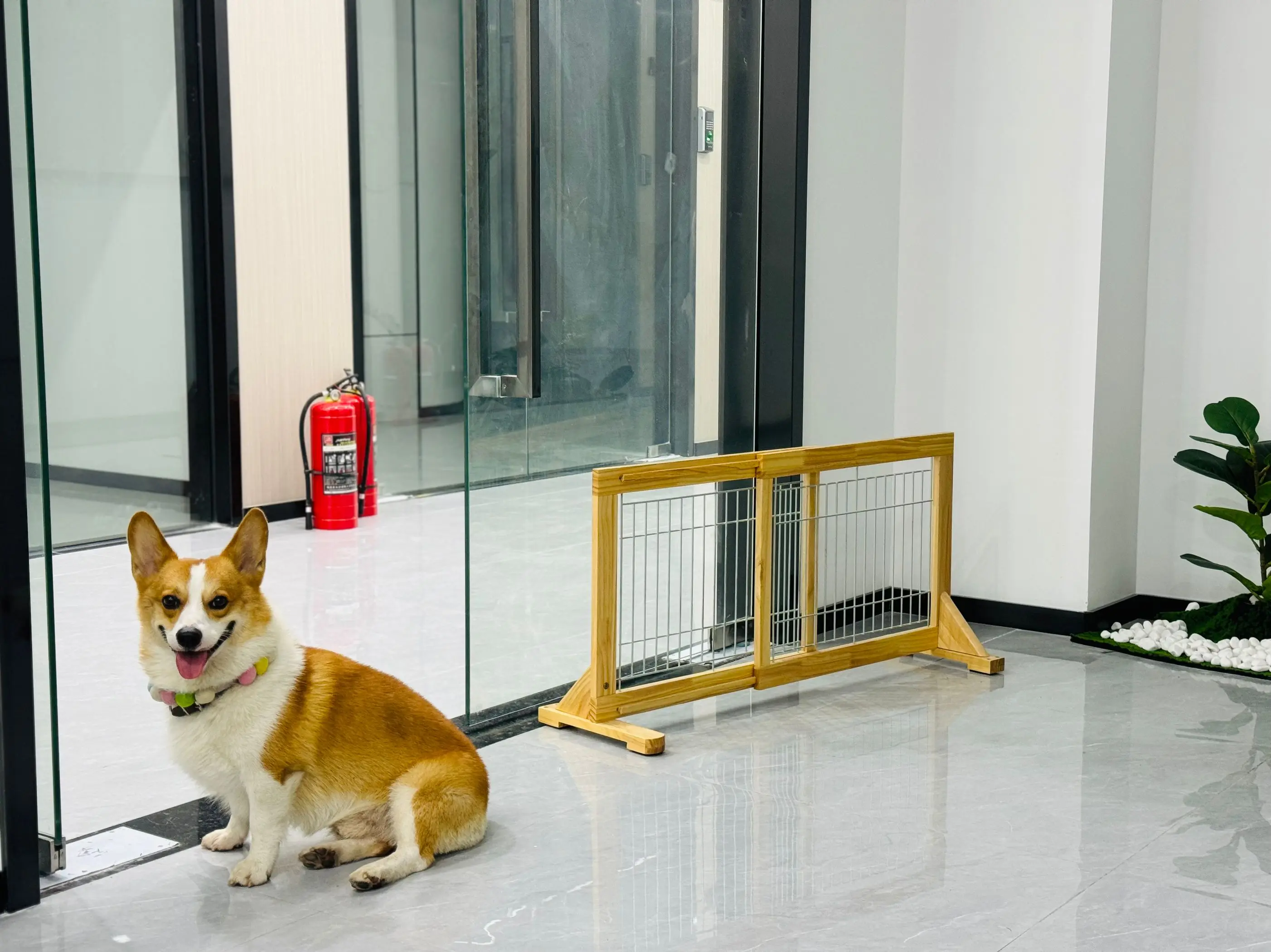 Custom High-end Retractable Door Barrier Wood And Welded Wire Mesh Dog ...