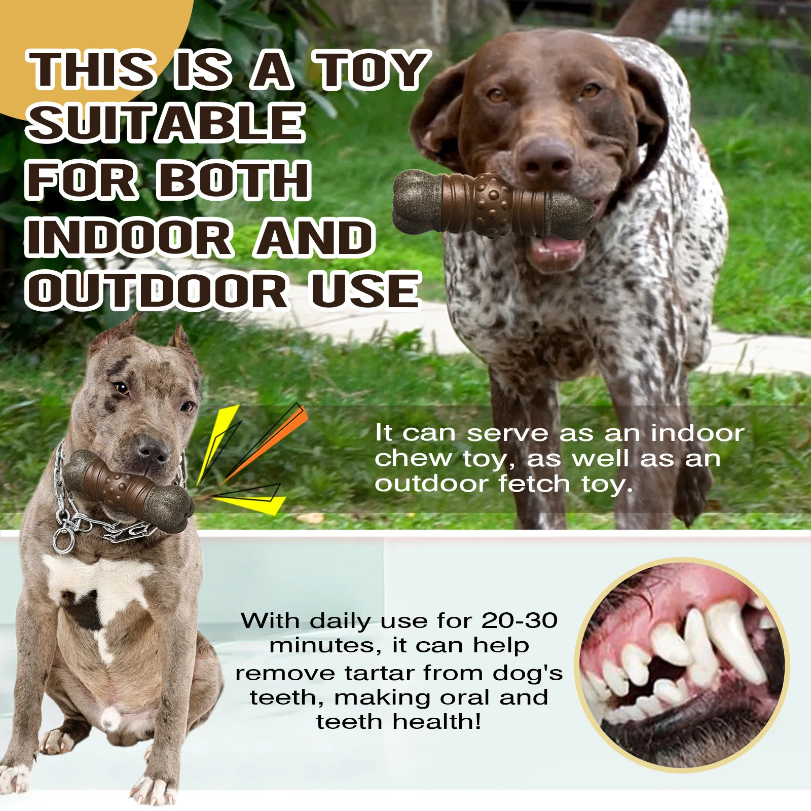 Pet Supplies Factory New Explosion Dog Toothbrush Squeaky Teeth ...