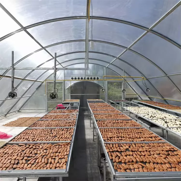 Sun Dryer Poly Single Tunnel Green House - Solar Drying