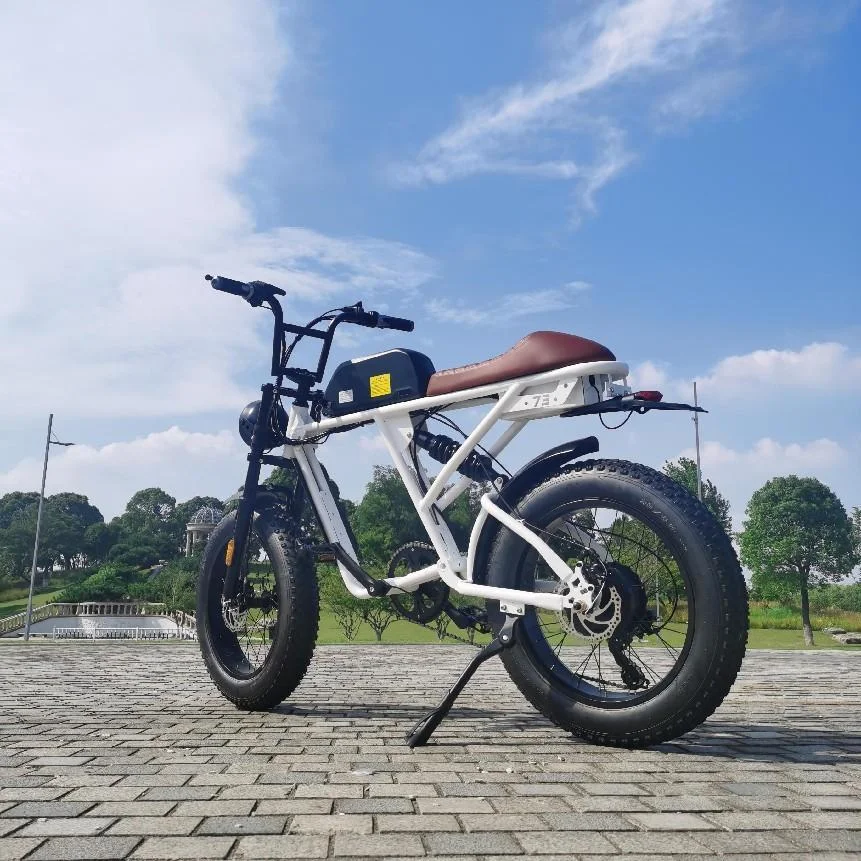belt drive retro custom moped style 48v 350w foldable ebike folding ...