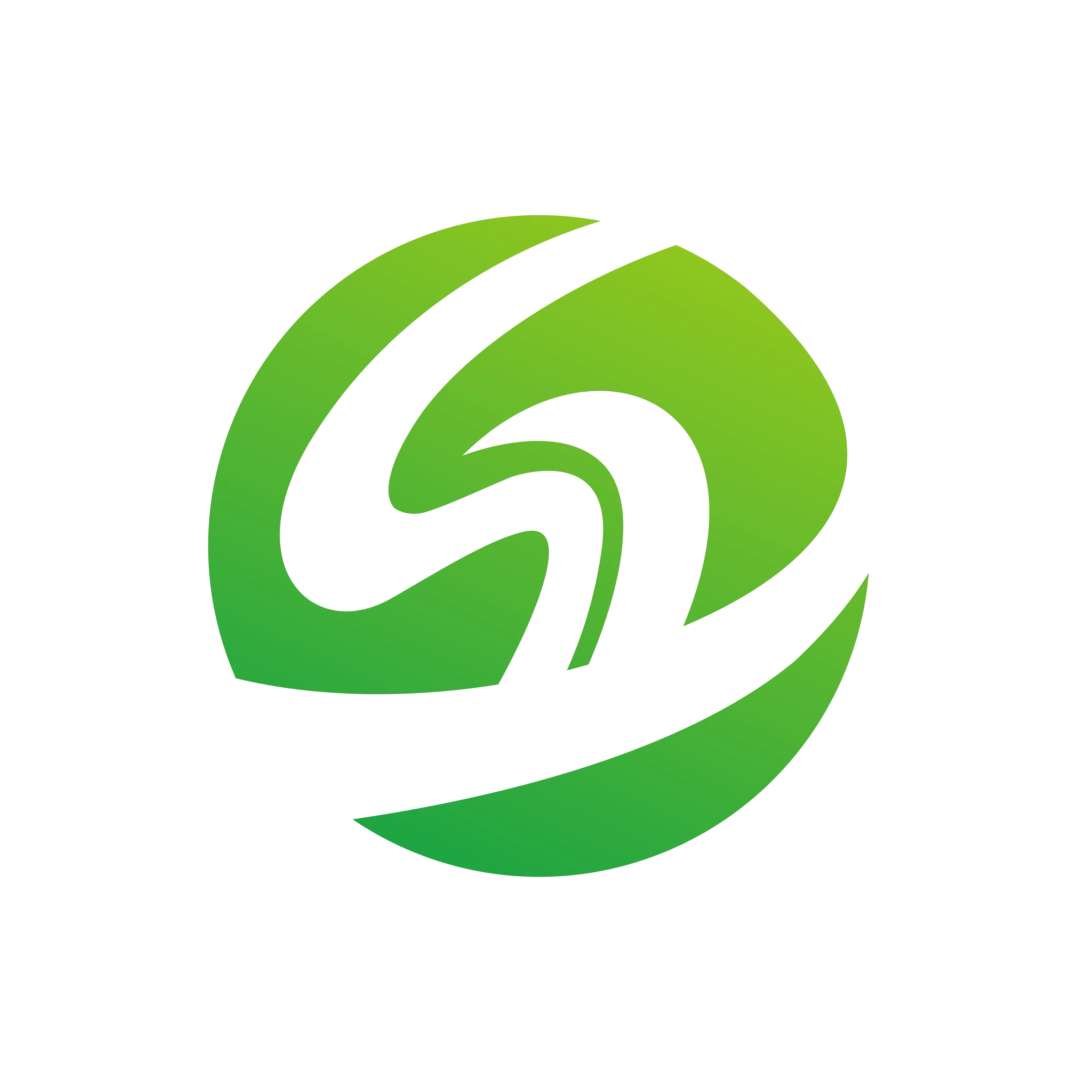 Company Overview - SANYUAN INC