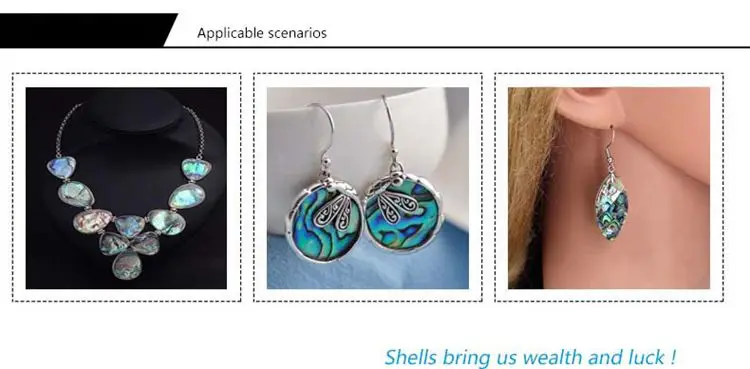 Shop High-Quality Raw Paua Shell - Perfect for DIY Crafts