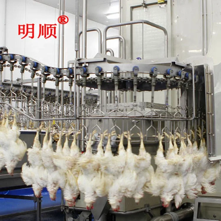Automatic Broiler Chicken Duck Slaughter Processing Line Poultry ...