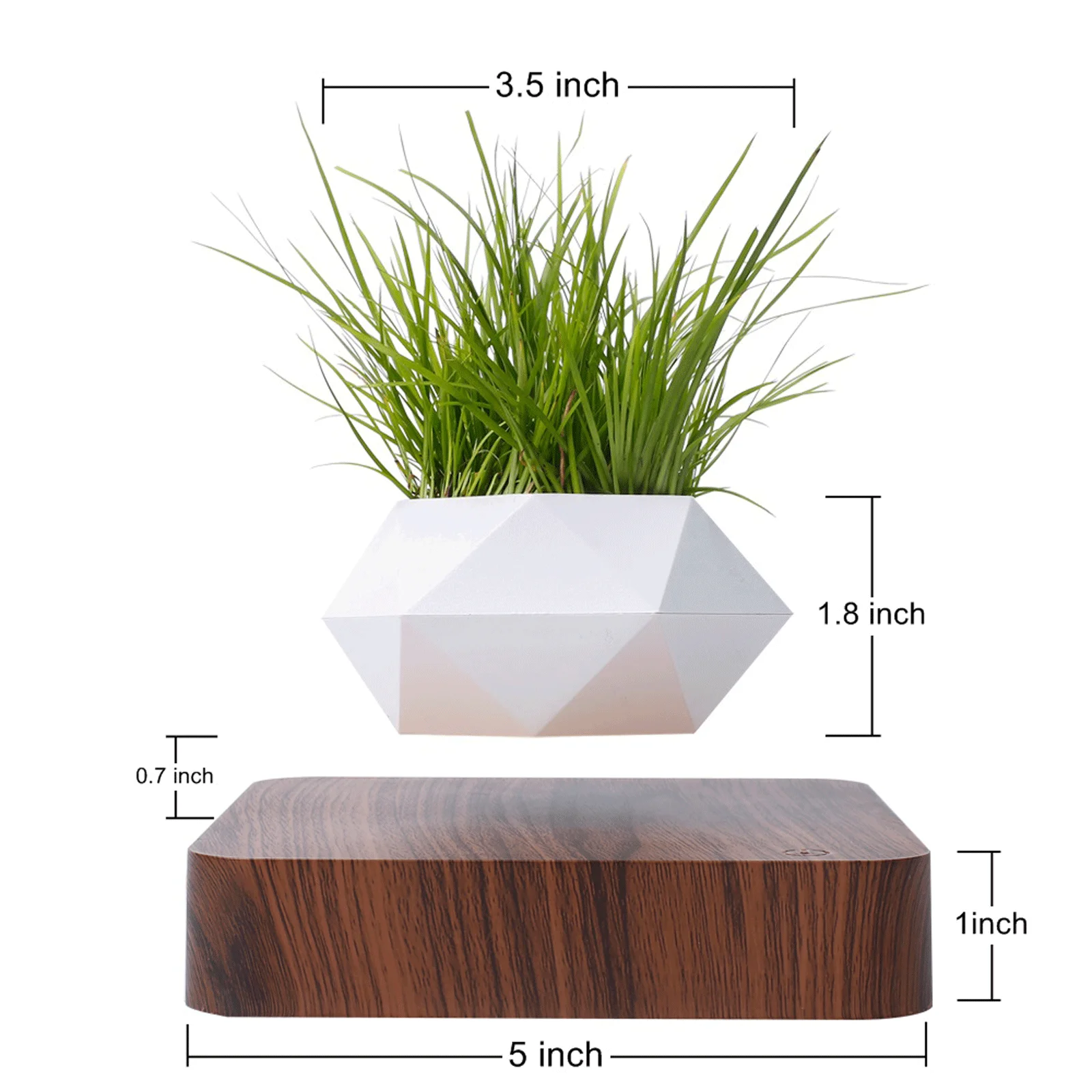 HCNT Beautiful Levitating Pot for Plants - Perfect Gift