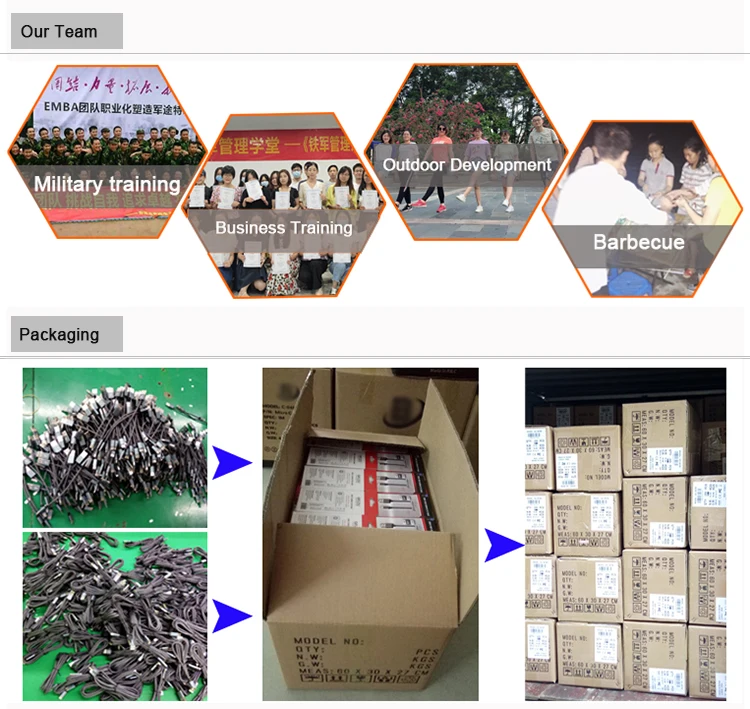 DMX Audio De Y Power Snake XLR Cable - Male to Female