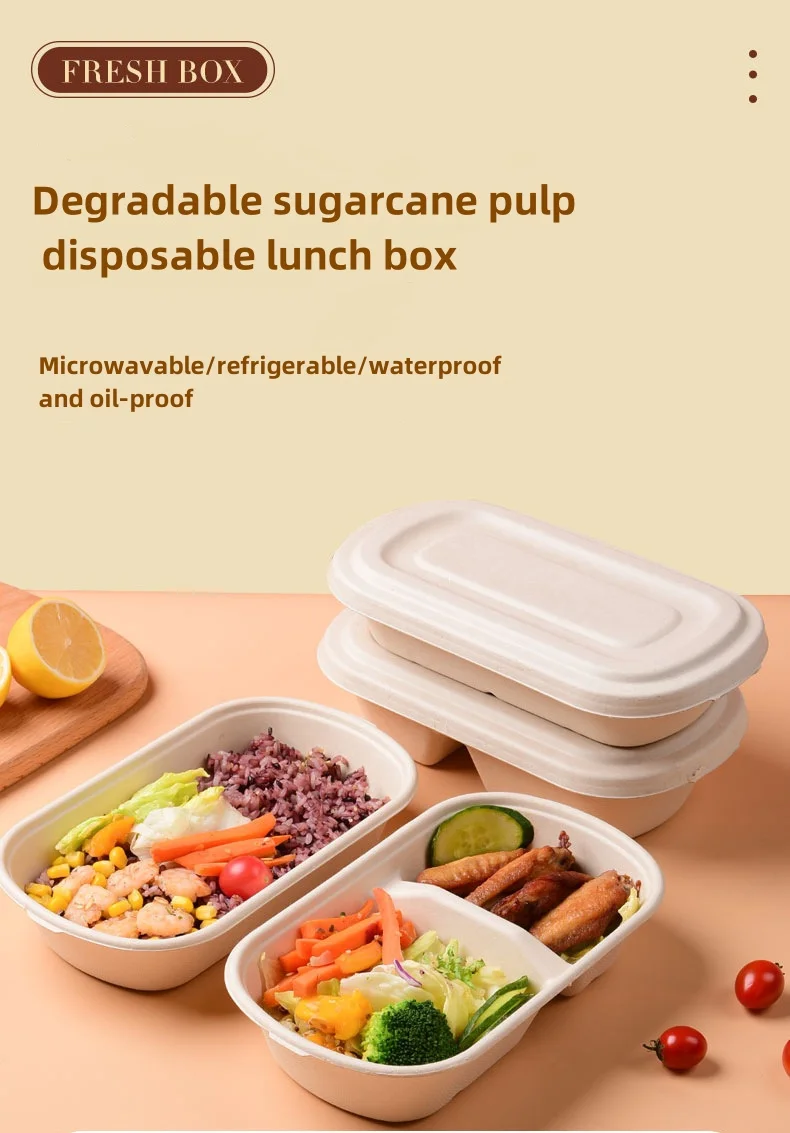 Disposable Biodegradable Sugarcane Bagasse Food Container Takeway Fast ...