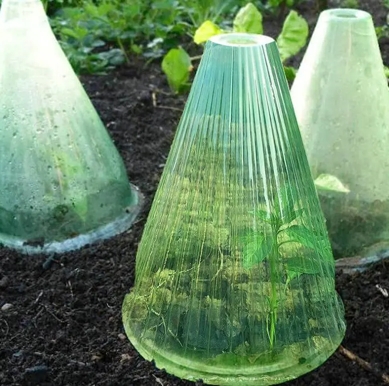 Hot Sale10/20pcs Garden Cloche Dome Reusable Bell Jar Plants Covers ...