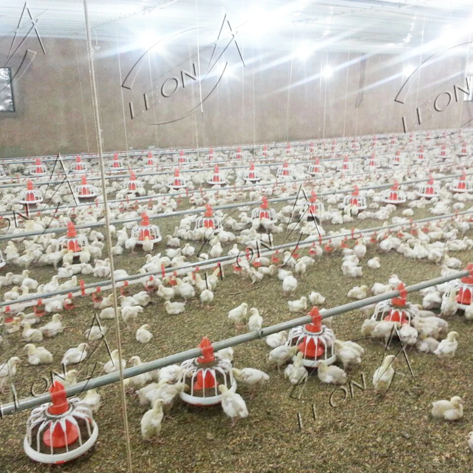 Automatic Poultry Feeder Broiler Chicken Automatic Drinker Pan Feeding ...