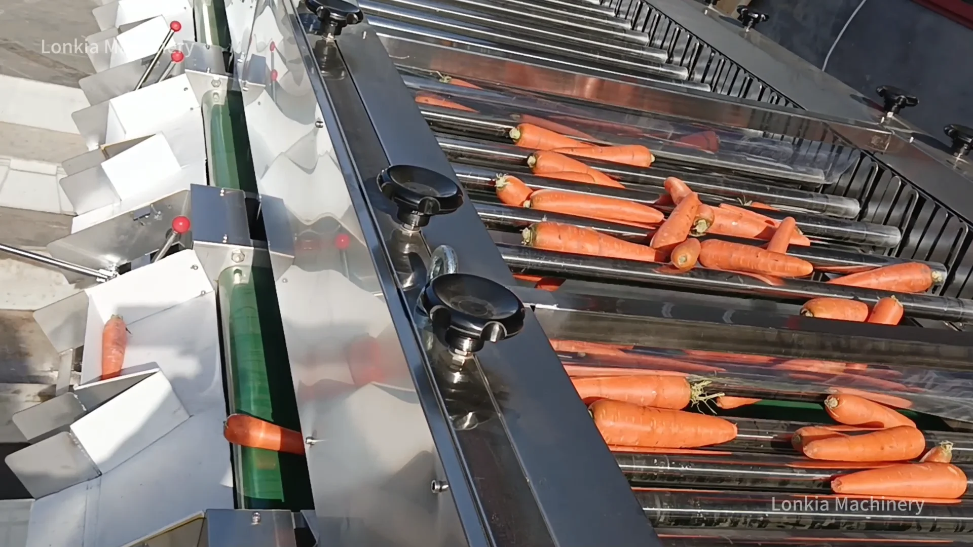 Root Vegetable Grading Machine Tomato Carrot Sorting Machine Cucumber ...