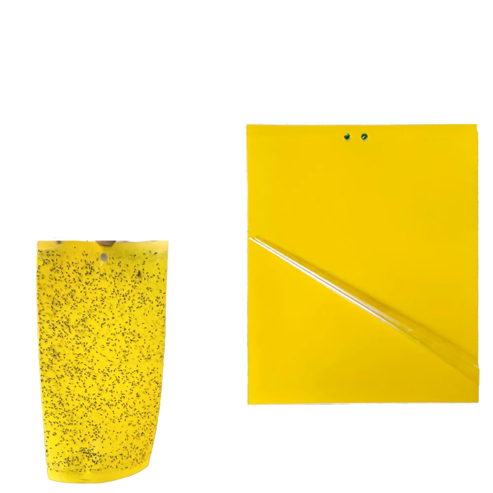 Alibaba.com: Customized double-sided yellow sticky insect board with ...