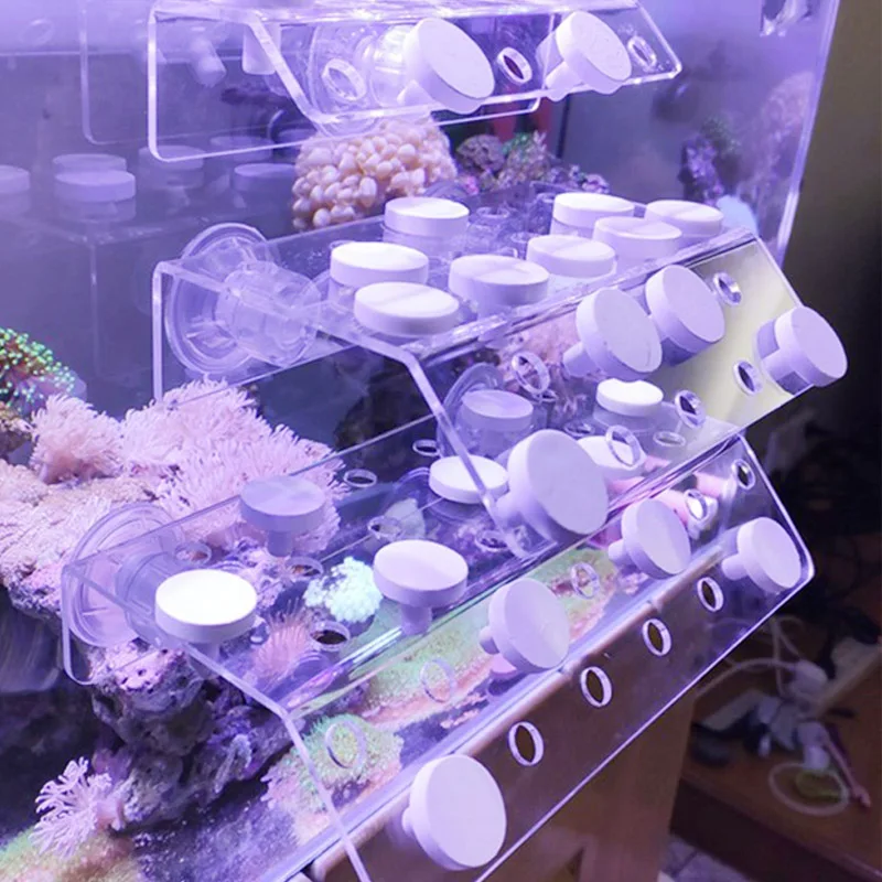 Custom Ceramic Coral Frag Disk Bisque Fish Tank Decor Ornament Crafts ...