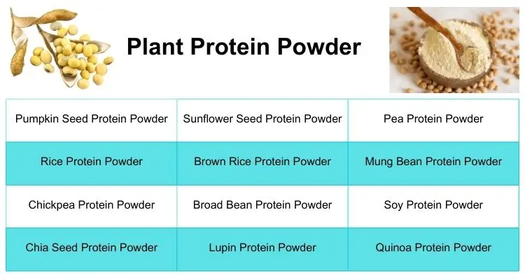 Natural Soapberry Saponin Powder Soapnut Saponins Extract Sapindoside ...