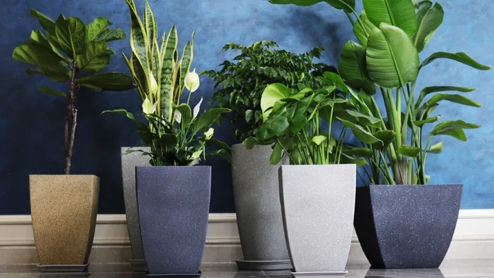 Large Tall Tree Planting Plastic Flower Pot Outdoor Indoor Planter Deep ...