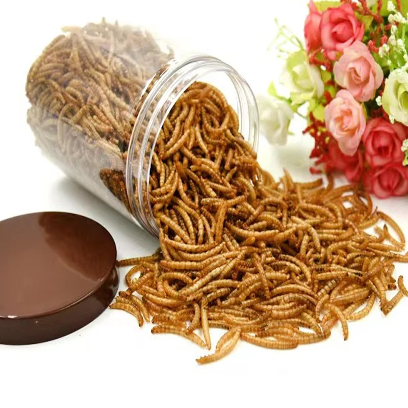 Small Pets Dry Mealworm Hamster Snacks Turtle Food Dried Mealworms ...