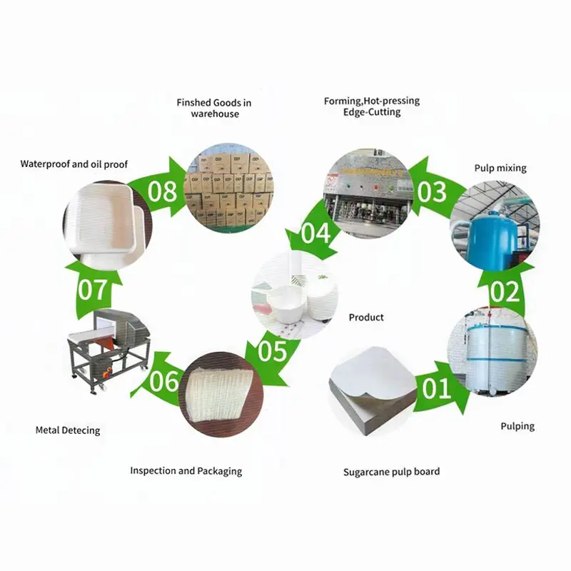 Automatic Biodegradable Disposable Sugarcane Bagasse Pulp Molding Paper ...