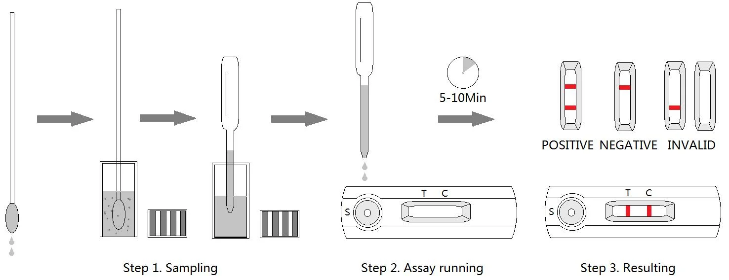 Canine Pancreatic Lipase Test Kit Cpl Semi-quantitative Test For Dog ...