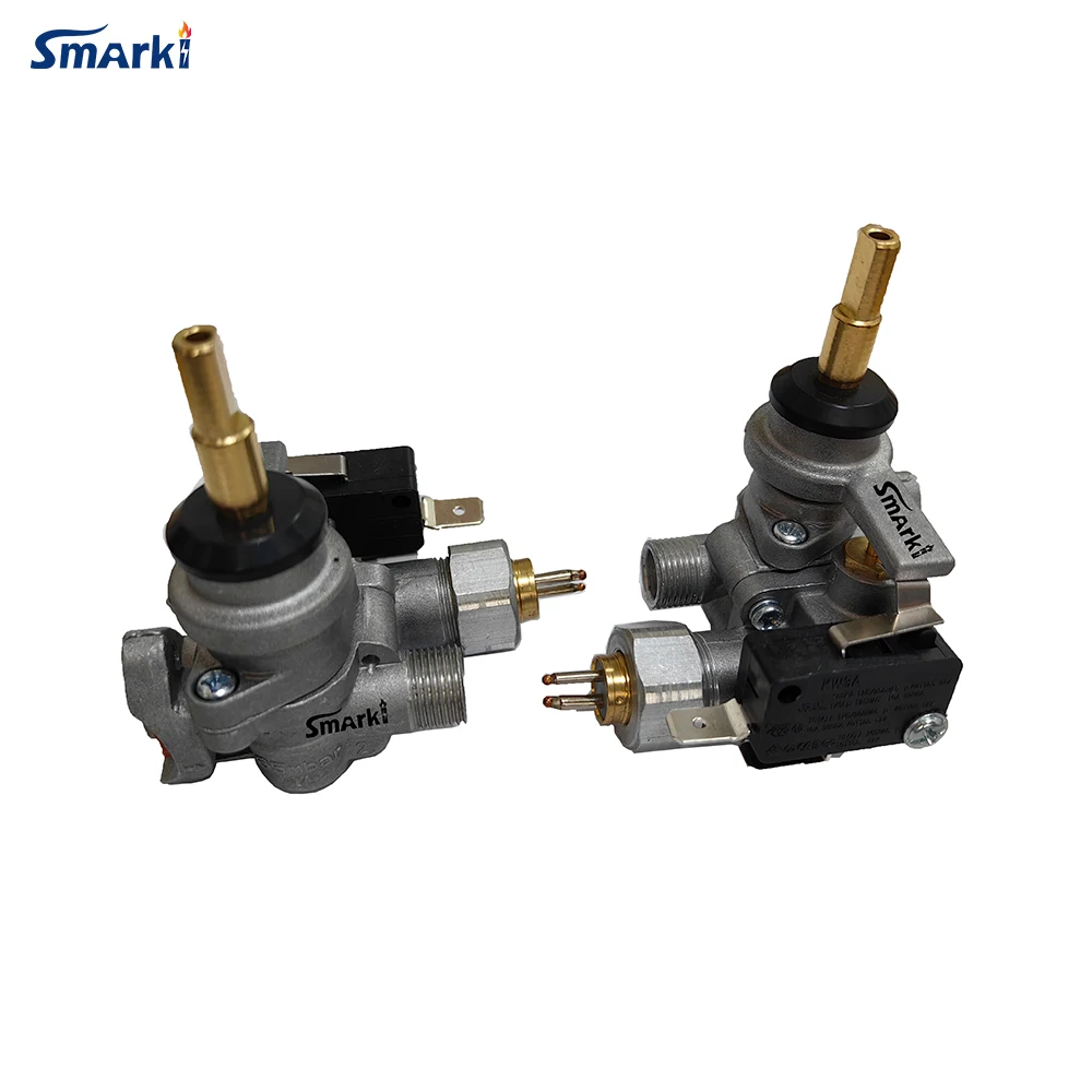 Double Wire Solenoid Valve Safety Gas Valve for Gas Hob Gas Stove Valve ...