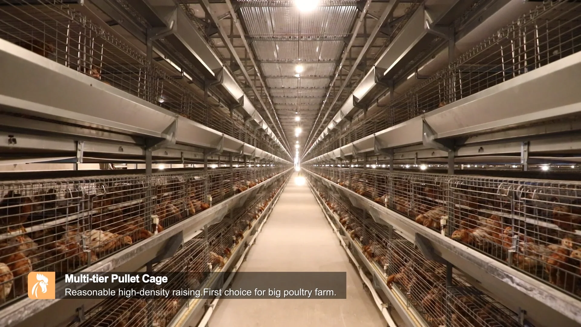 Durable Fully Automatic Multi Tiers H Type 1 Day Old Baby Layer Chicks Chicken Brooding Cage For ...