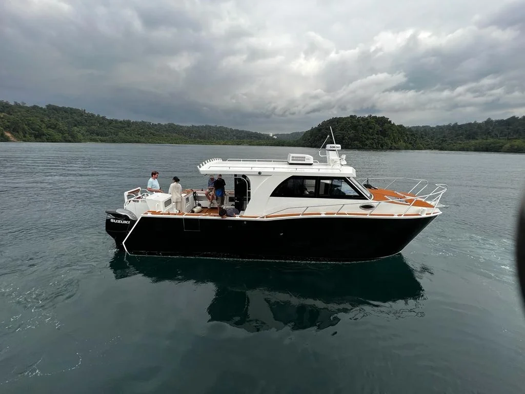 10m Luxury Catamaran Fishing Boat for Sale - Aluminum & Outboard Engine ...