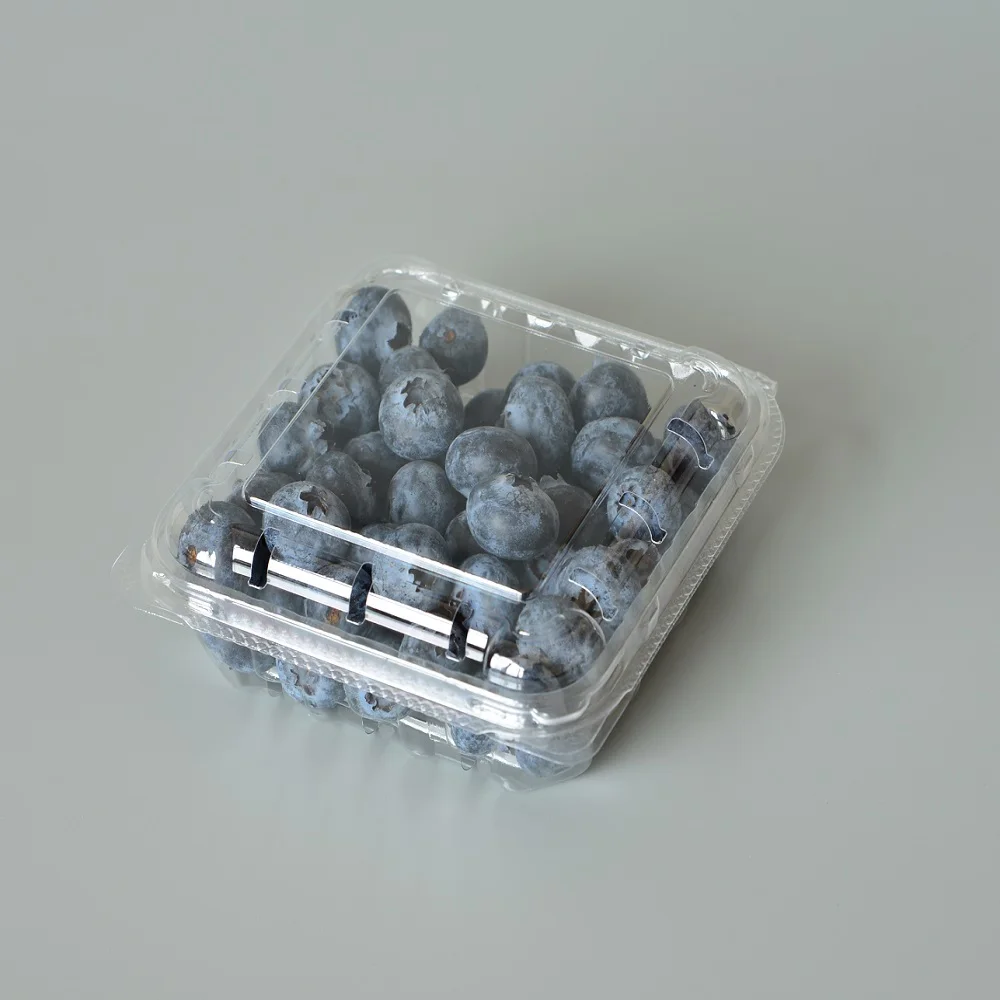 Disposable Plastic Clamshell Blueberry Fruit Container With Holes - Buy ...
