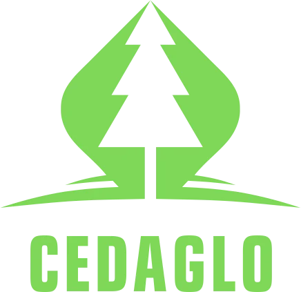 Company Overview - Cedaglo Group Limited