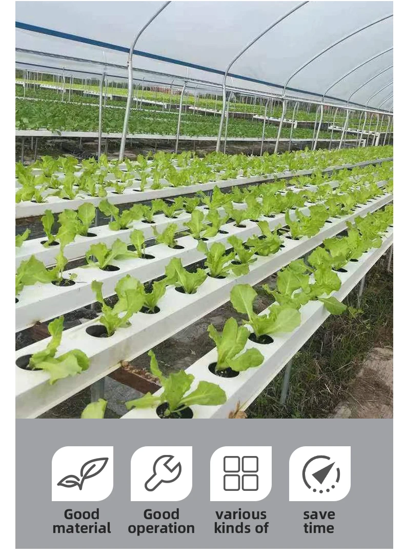 High Quality Vertical Hydroponic NFT System by FENGZHIYUAN