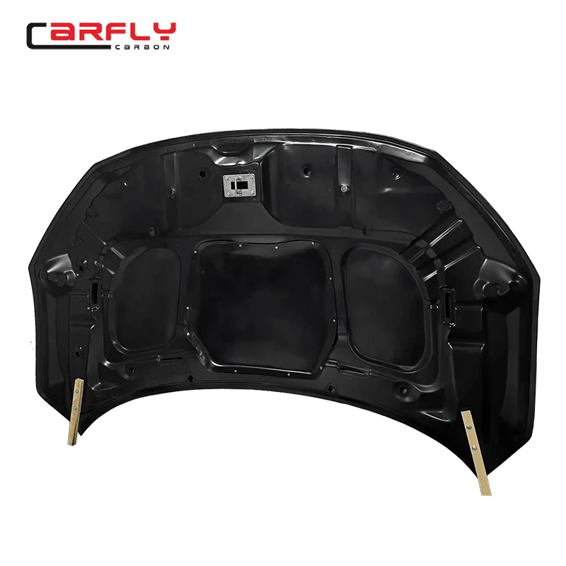 Type R Style Carbon Fiber Hood for Honda Civic 10th Version