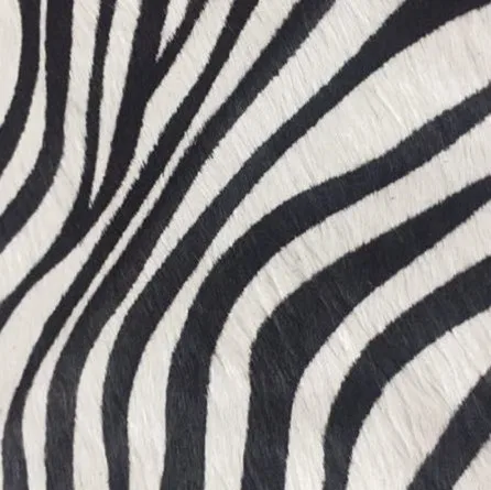 Real Zebra Print
