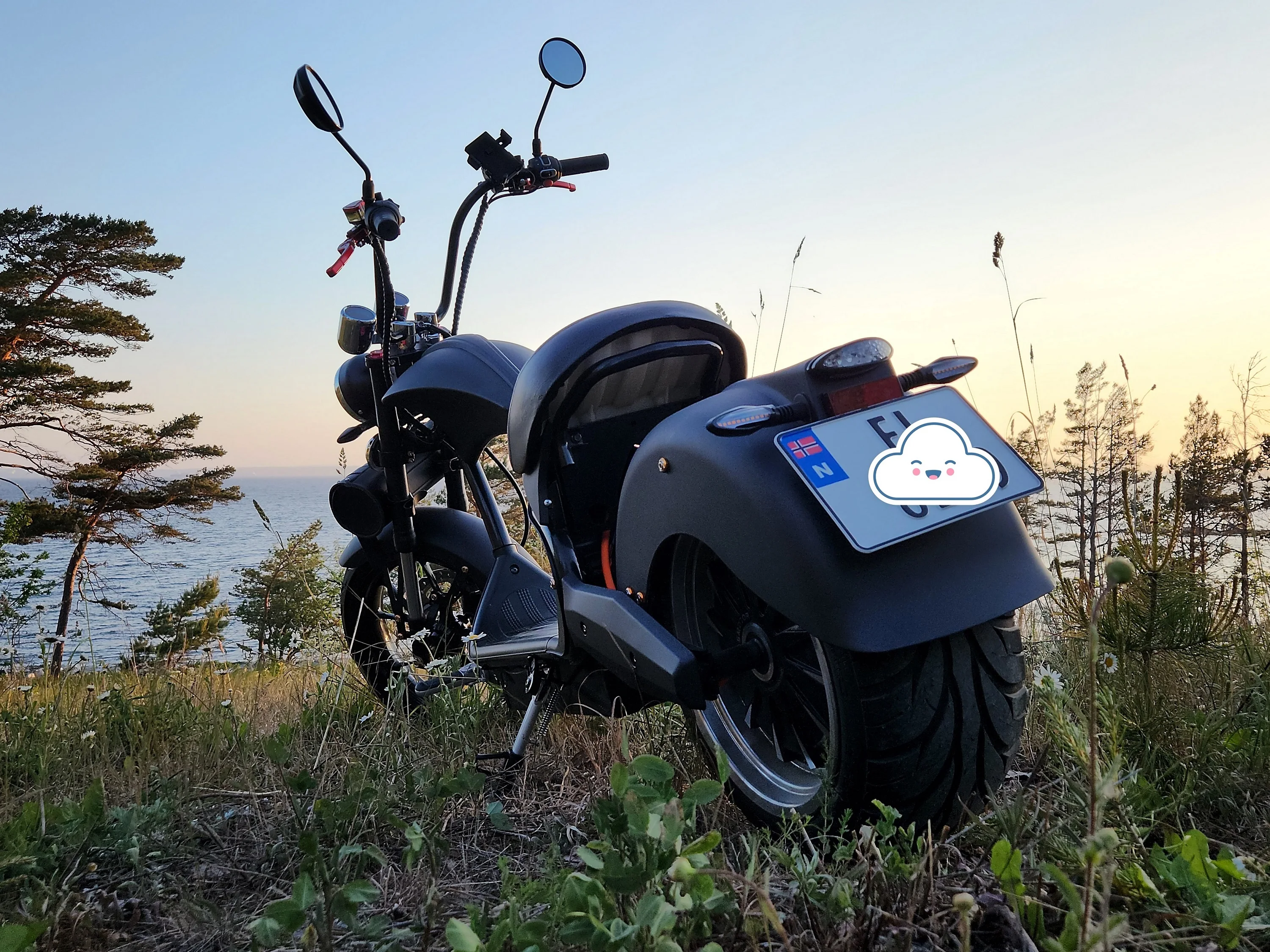 Citycoco Echoppers - High Performance Electric Motorcycles