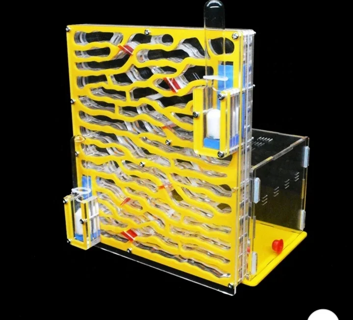 Acrylic Ants Housing Nest Insect Cage Feeding Ant Farm Nest Single Test ...