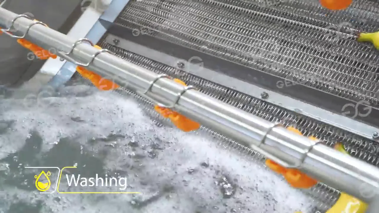 Gelgoog Sweet Corn Seaweed Washing Machine Carrot Potato Cleaning ...