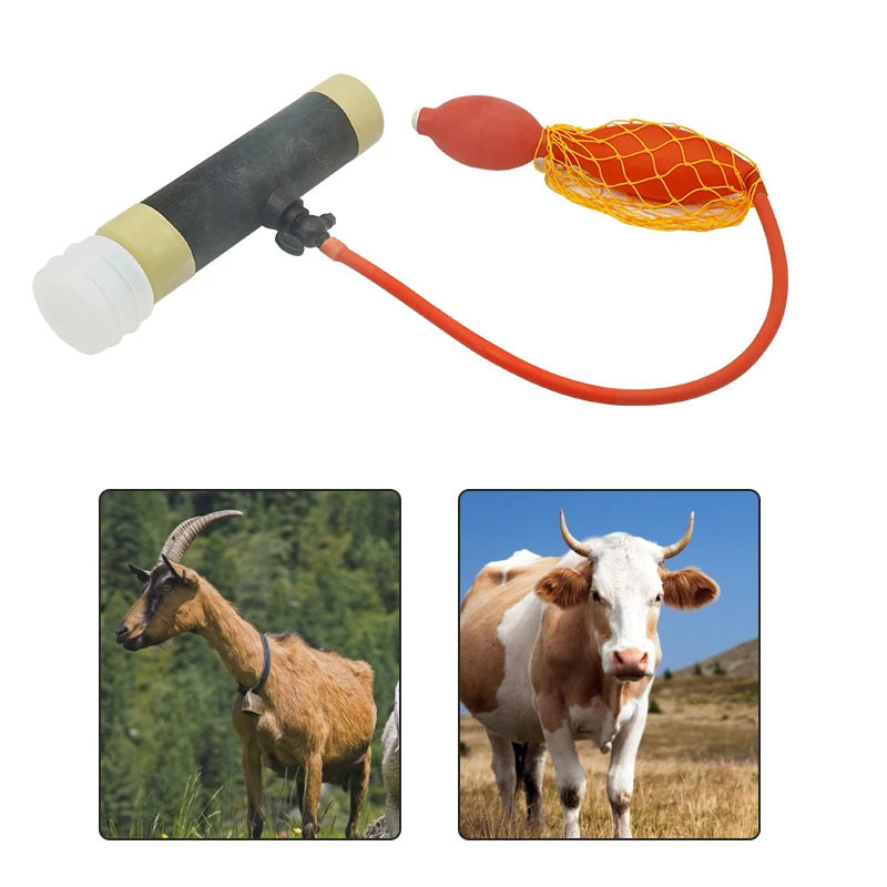 Efficient Semen Collection for Cattle and Sheep