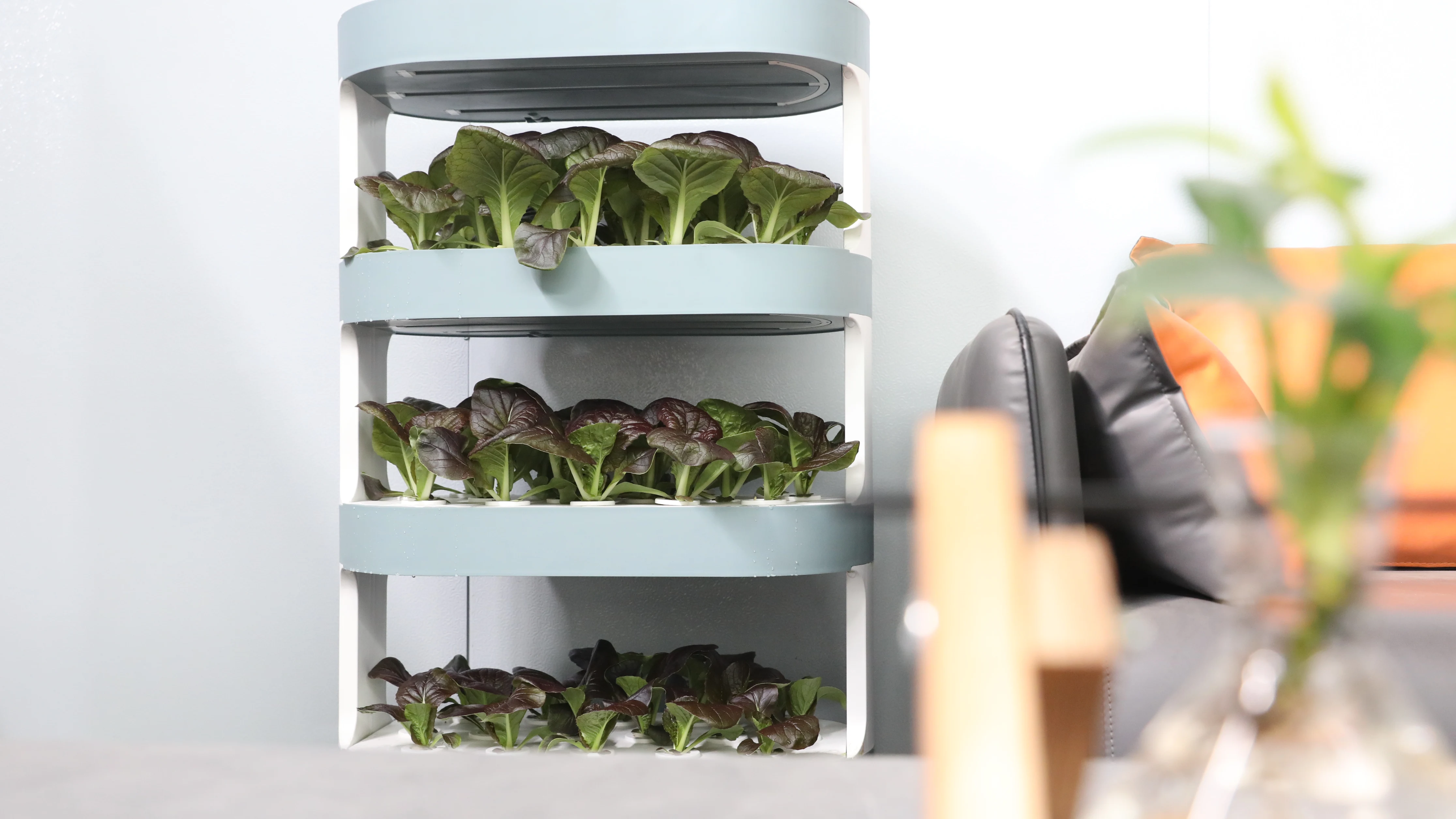 Semsh Indoor Vertical Hydroponic Growing System With Grow Lights, 3 ...