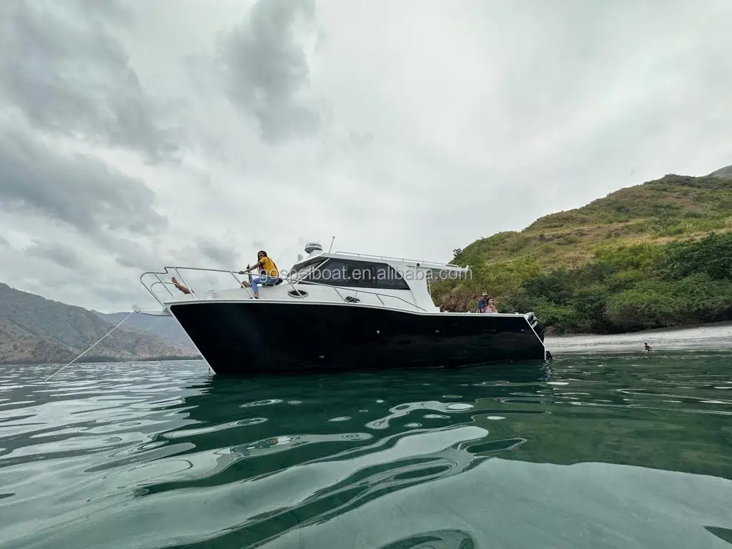 10m High Speed Catamaran Boat for Sale with Outboards Engine Fishing Boat