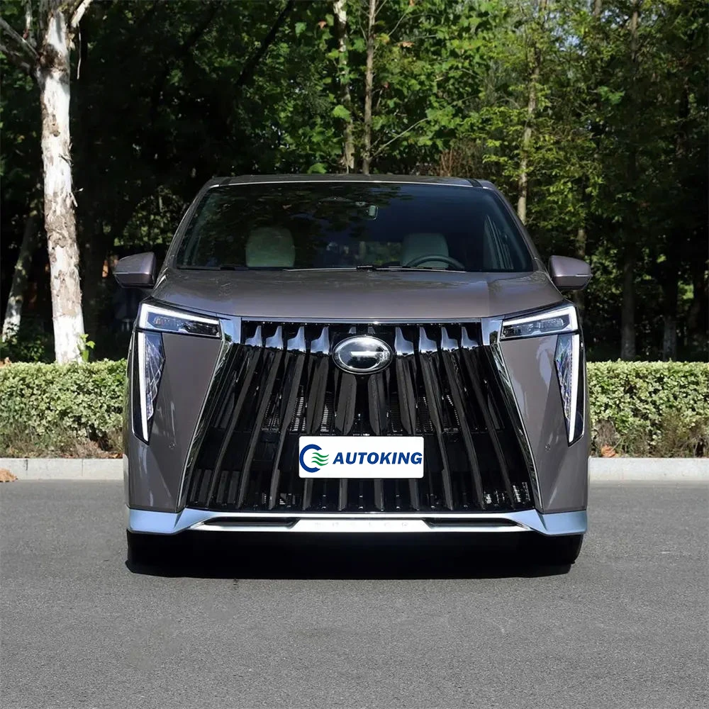 Wholesale DENZA D-9 Luxury 7 Seats MPV - High Level Vehicle