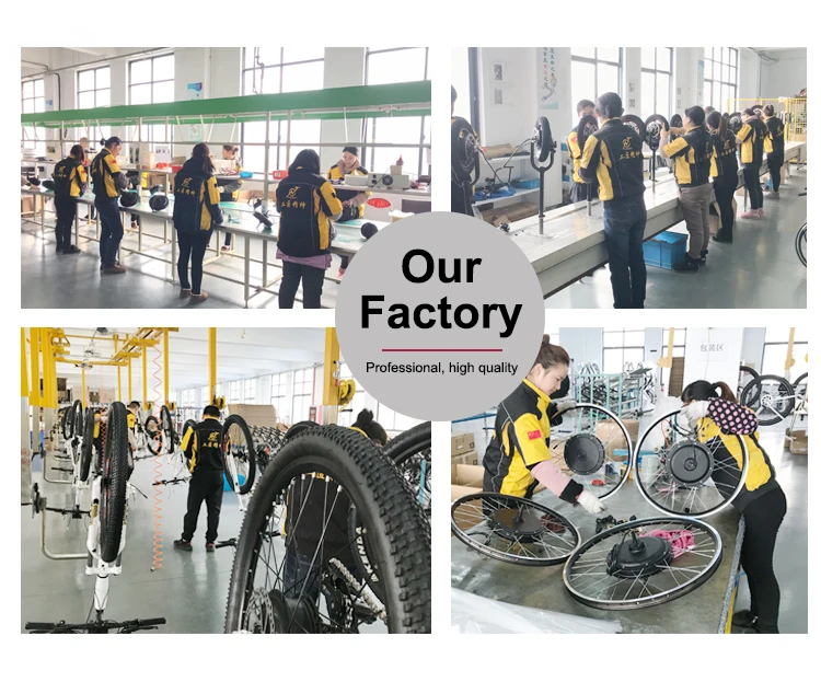 Bafang E-Mobility Sales Service Tool for Electric Bicycle Parts ...