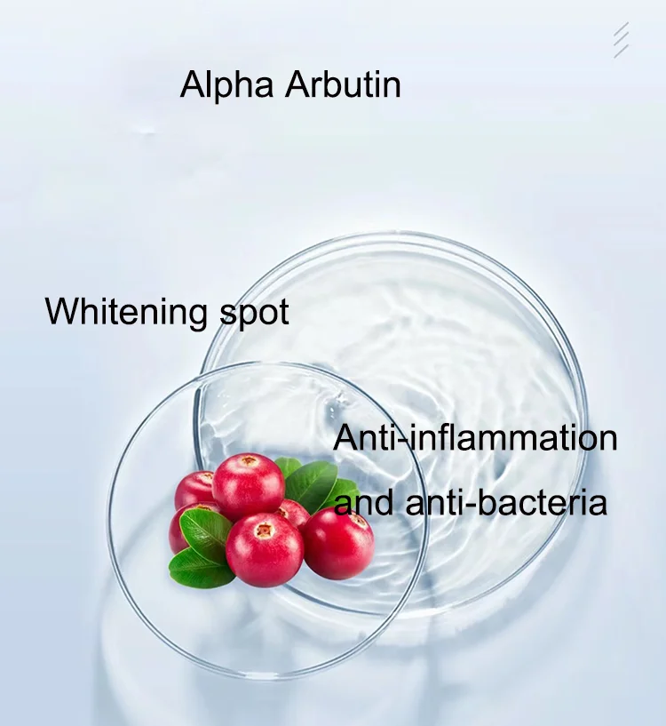 Vitamin C Arbutin Collagen Facial Kit Hyaluronic Acid Serum Creams ...