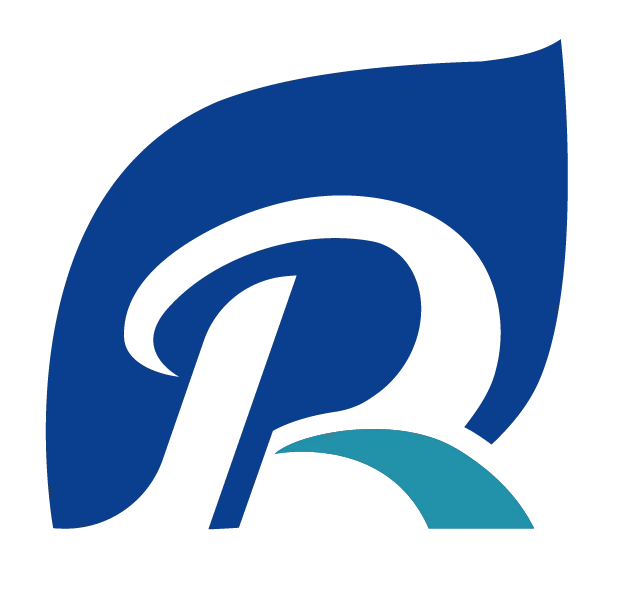 Company Overview - Dongguan Ruixin Intelligent Electronics Co., Ltd.