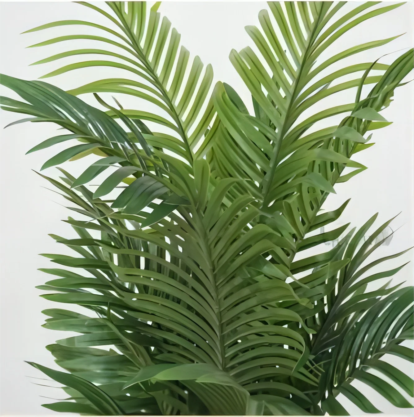 Palmeras Artificiales Palma Artificial Artifical Palm Tree - Buy ...